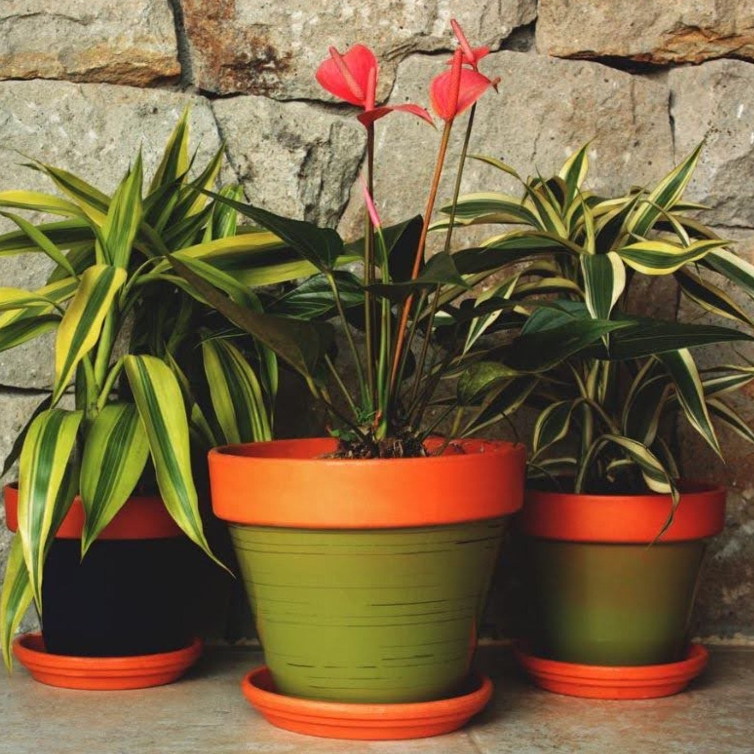 Maceta Kony 15 – tienda.pottery.cl