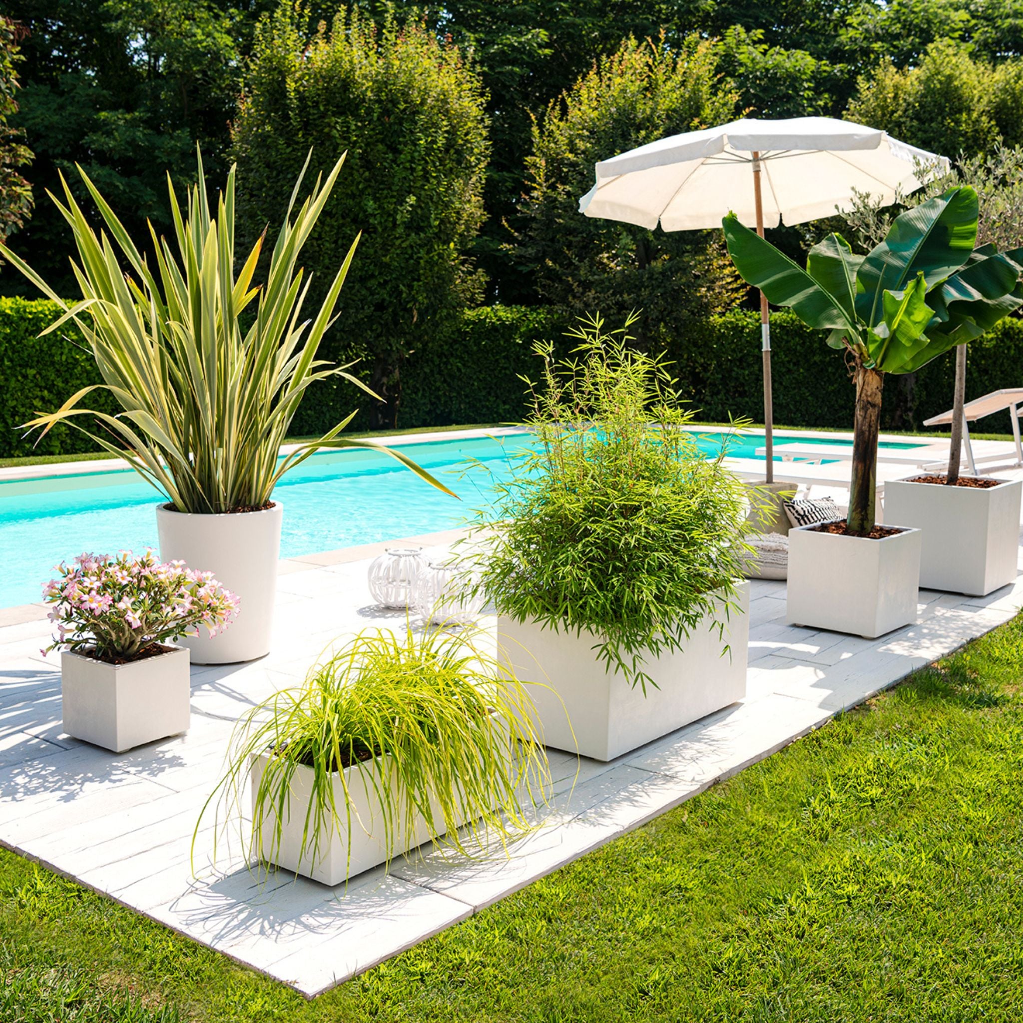 Maceteros de Plástico Ultra Resistentes – tienda.pottery.cl